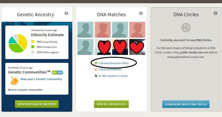 Using Ancestry DNA to Find Biological Father - Who are You Made Of?