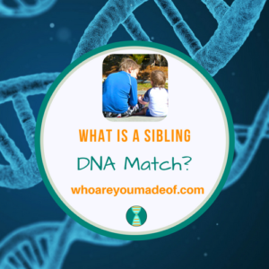 What is a Sibling DNA Match? - Who are You Made Of?