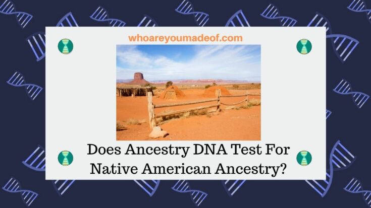 Does Ancestry DNA Test For Native American? - Who are You Made Of?