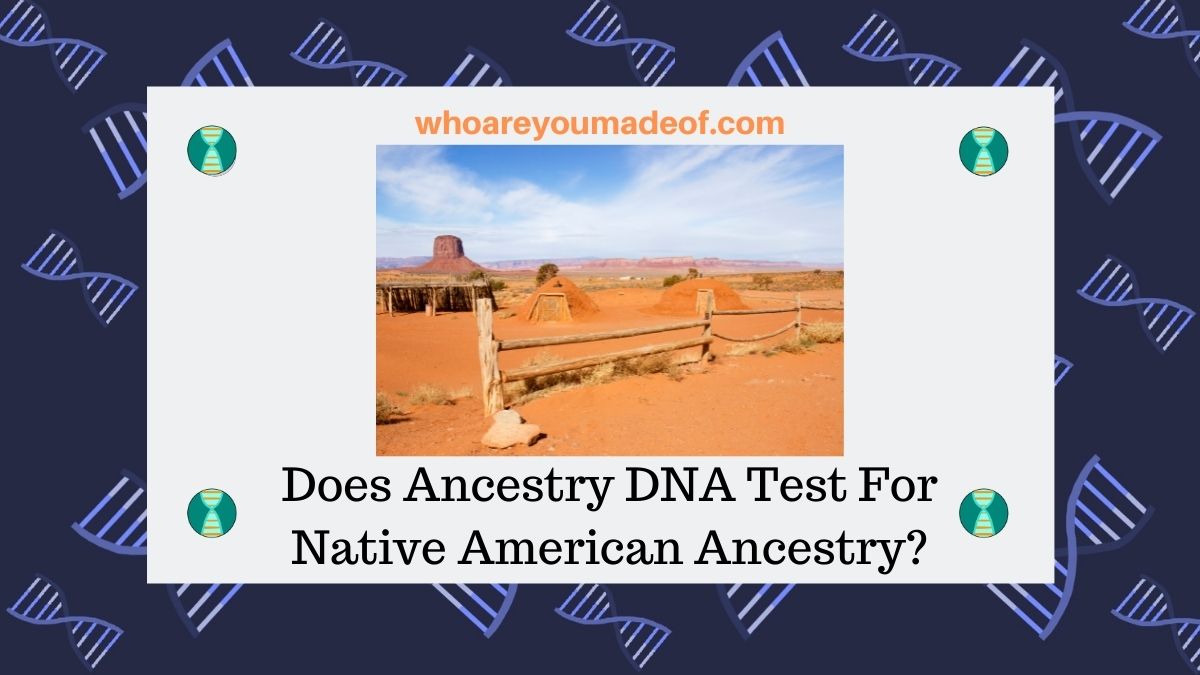 Does Ancestry DNA Test For Native American? - Who are You Made Of?