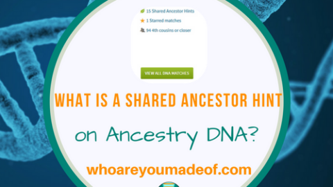 How to Change DNA Test Settings on Ancestry DNA - Who are You Made Of?
