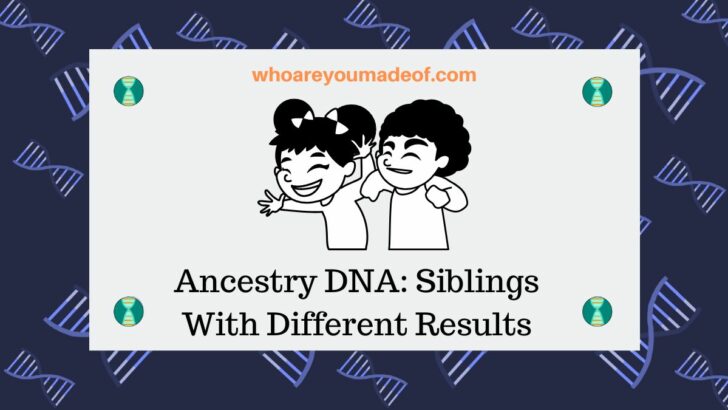 Ancestry DNA: Siblings With Different Results - Who are You Made Of?