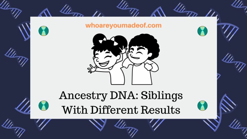 Ancestry DNA: Siblings With Different Results - Who are You Made Of?