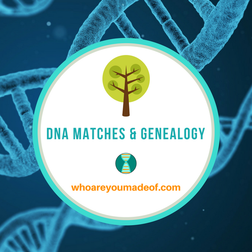 How to Use DNA Matches for Genealogy - Who are You Made Of?