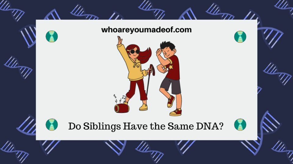 Do Siblings Have the Same DNA? - Who are You Made Of?
