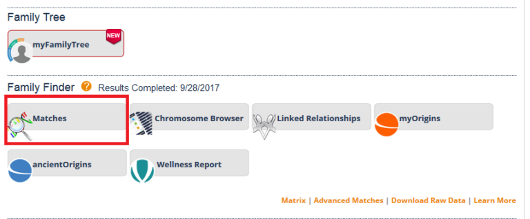 How to Read FTDNA Family Finder Results - Who are You Made Of?