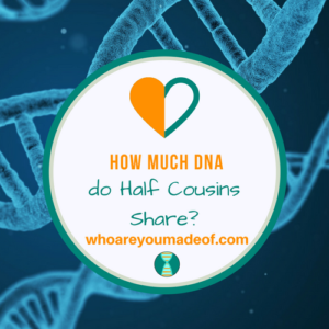 How Much DNA do Half Cousins Share? - Who are You Made Of?