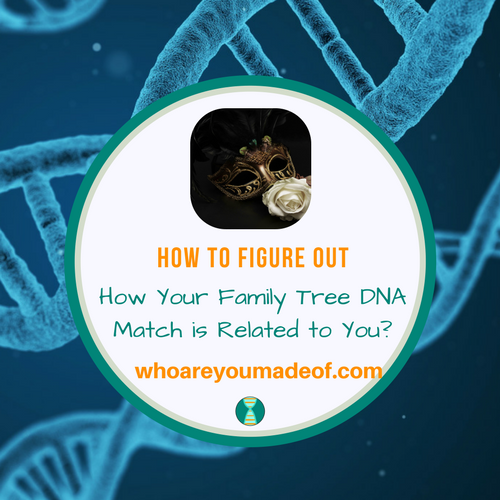 How to Figure Out How Your Family Tree DNA Match is Related to You ...