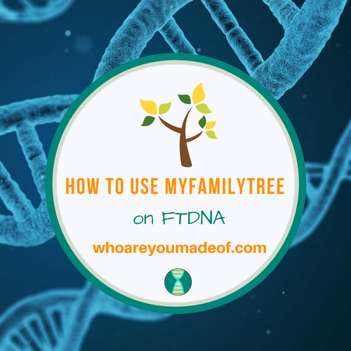 How to Use myFamilyTree on FTDNA - Who are You Made Of?