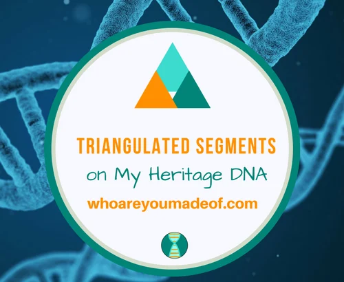 MyHeritage DNA Archives - Who are You Made Of?