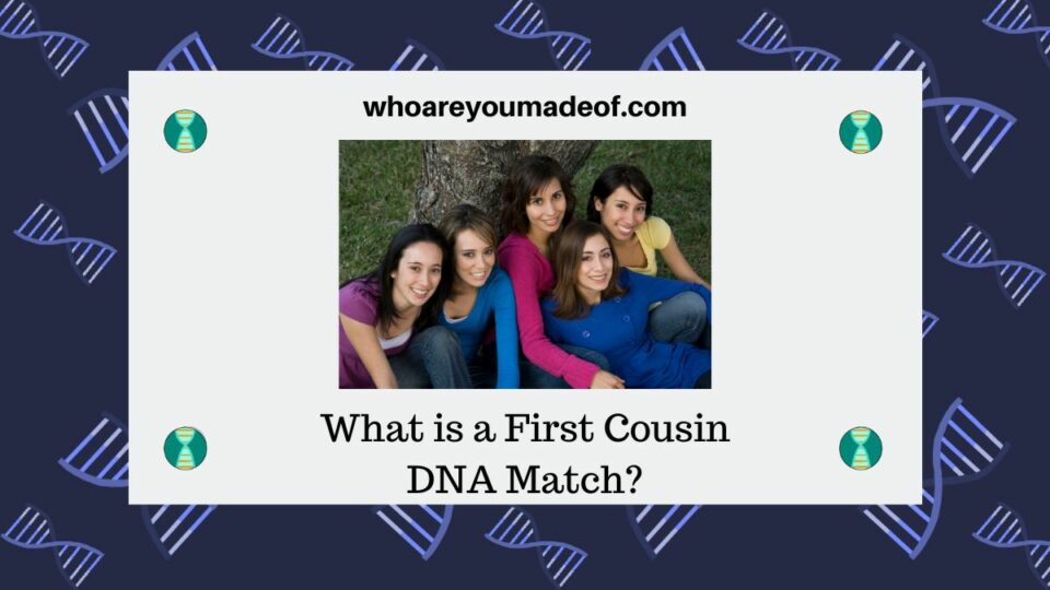 What is a First Cousin DNA Match? - Who are You Made Of?