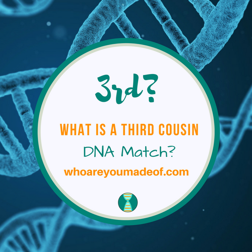 What is a Third Cousin DNA Match? - Who are You Made Of?