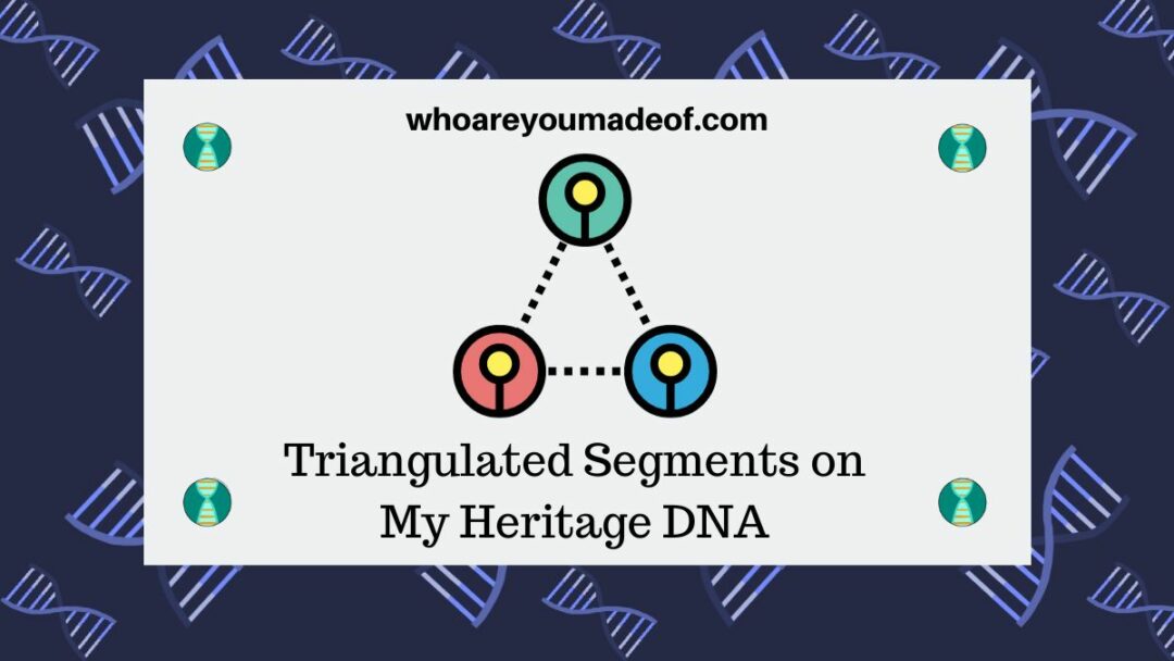 Triangulated Segments on My Heritage DNA - Who are You Made Of?
