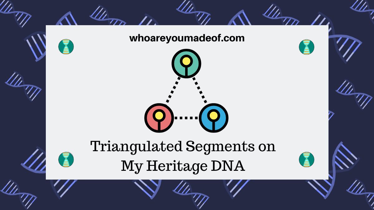 Triangulated Segments on My Heritage DNA - Who are You Made Of?