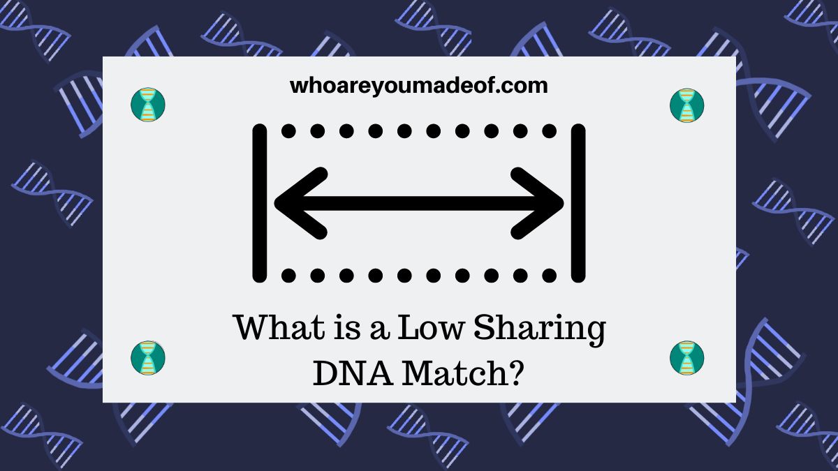 What is a Low Sharing DNA Match? - Who are You Made Of?