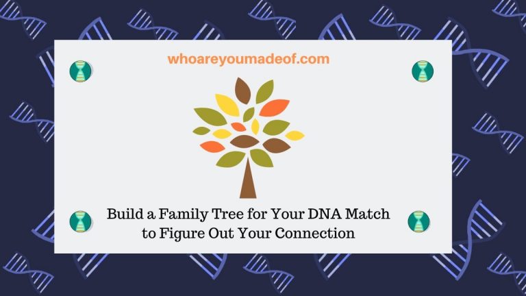 Build a Family Tree for Your DNA Match to Figure Out Your Connection ...