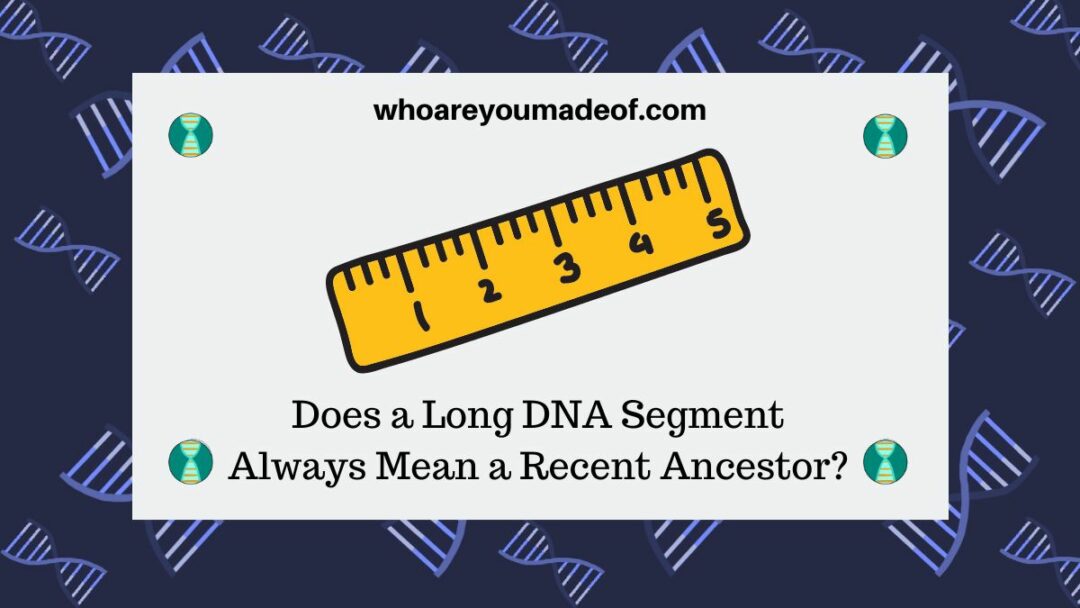 How Many DNA Segments Do Siblings Share? - Who are You Made Of?