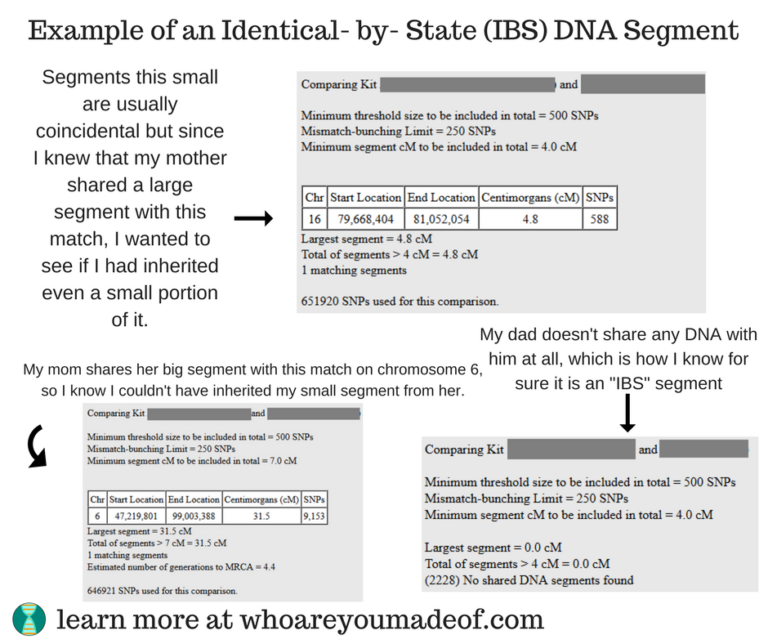 Identical by State or Coincidentally Identical DNA Segments - Who are ...