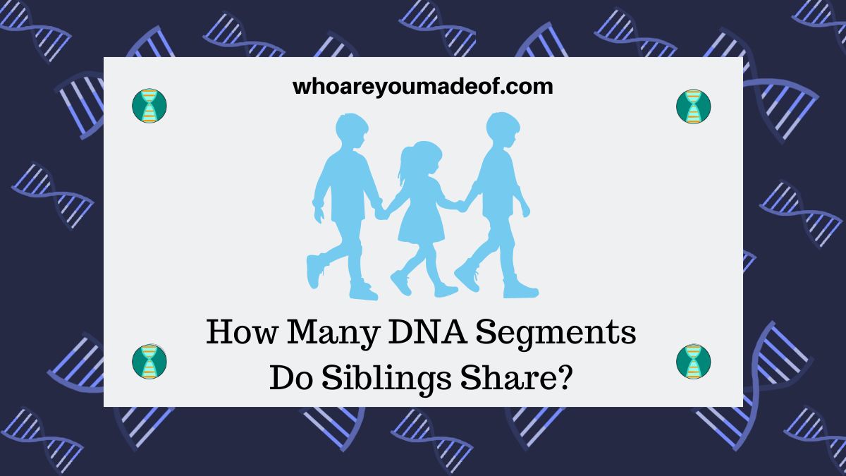 How Many DNA Segments Do Siblings Share? - Who are You Made Of?