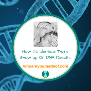 How Do Identical Twins Show up On DNA Results - Who are You Made Of?