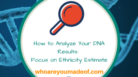 How to Analyze Your Results: DNA Matches - Who are You Made Of?