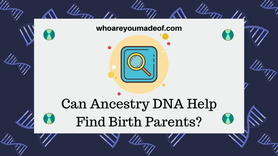 Can Ancestry DNA Help Find Birth Parents? - Who are You Made Of?