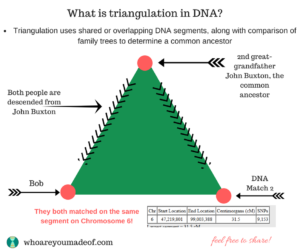 Triangulation of DNA Segments: Frequently Asked Questions - Who are You ...