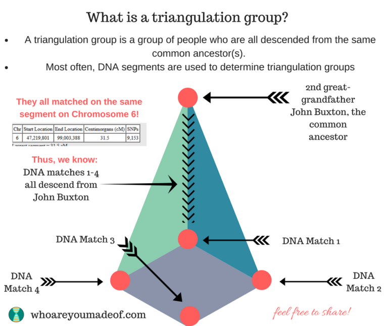 How to Triangulate DNA Matches to Identify Unknown Ancestor - Who are ...