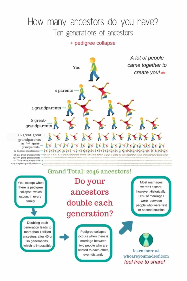 How Many Ancestors Do You Have? - Who are You Made Of?