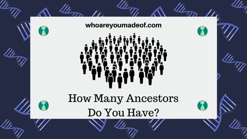 How Many Ancestors Do You Have? - Who are You Made Of?