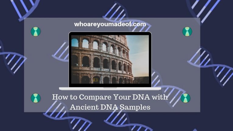 How to Compare Your DNA with Ancient DNA Samples - Who are You Made Of?