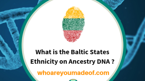 Use Ancestry DNA Like an Expert - Who are You Made Of?