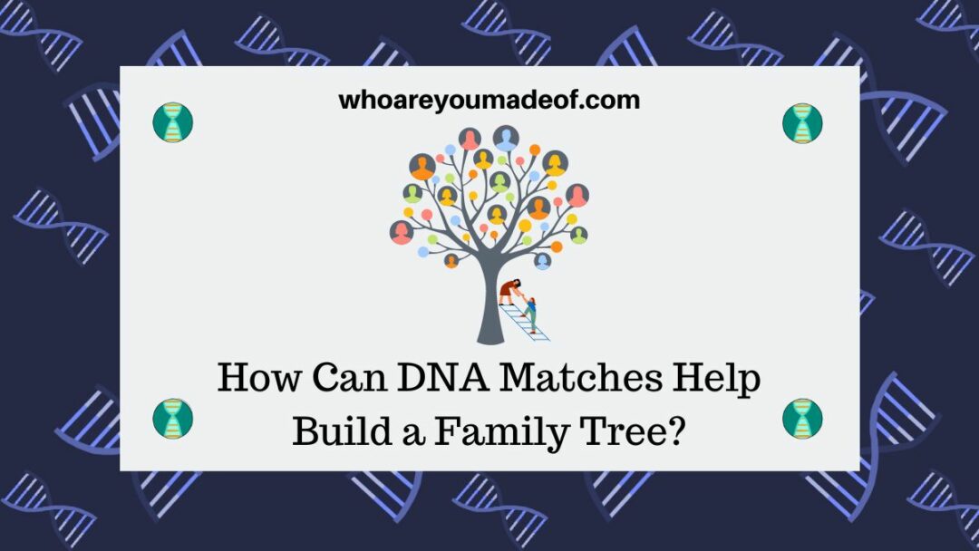 How Can DNA Matches Help Build a Family Tree? - Who are You Made Of?