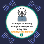 Strategies for Finding Biological Grandparent Using DNA - Who are You ...