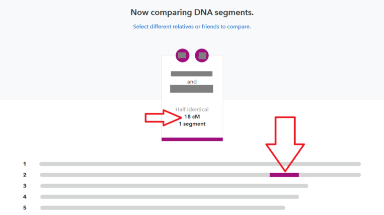 What do 23andMe Results Look Like? - Who are You Made Of?