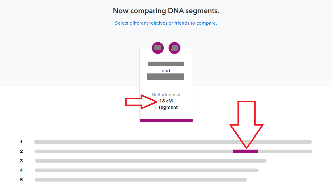 How to Use the 23andMe Chromosome Browser - Who are You Made Of?