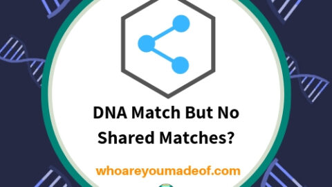 What to do With DNA Matches - Ultimate list of ideas - Who are You Made Of?