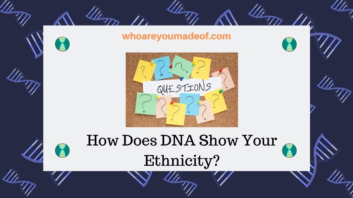 How Does DNA Show Your Ethnicity? - Who are You Made Of?
