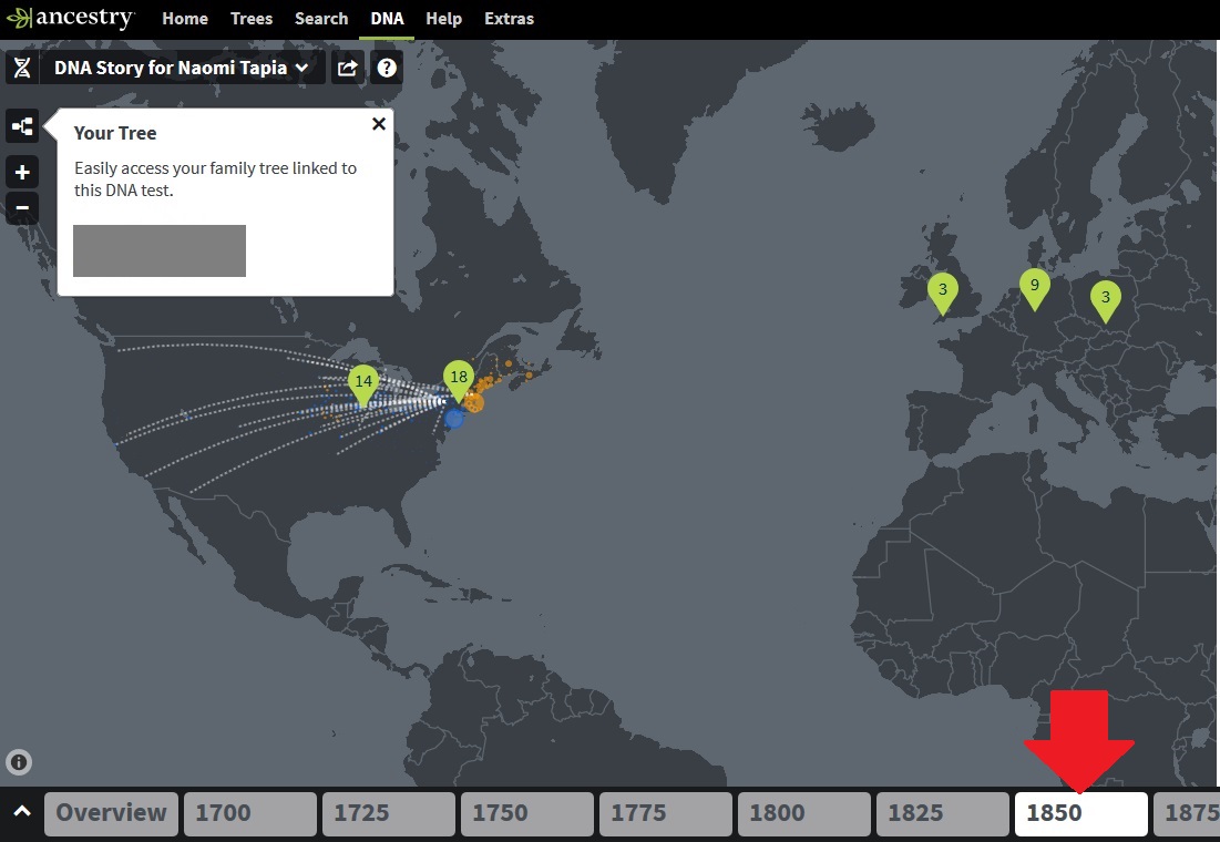 What is the Timeline on the Ancestry DNA Story? - Who are You Made Of?