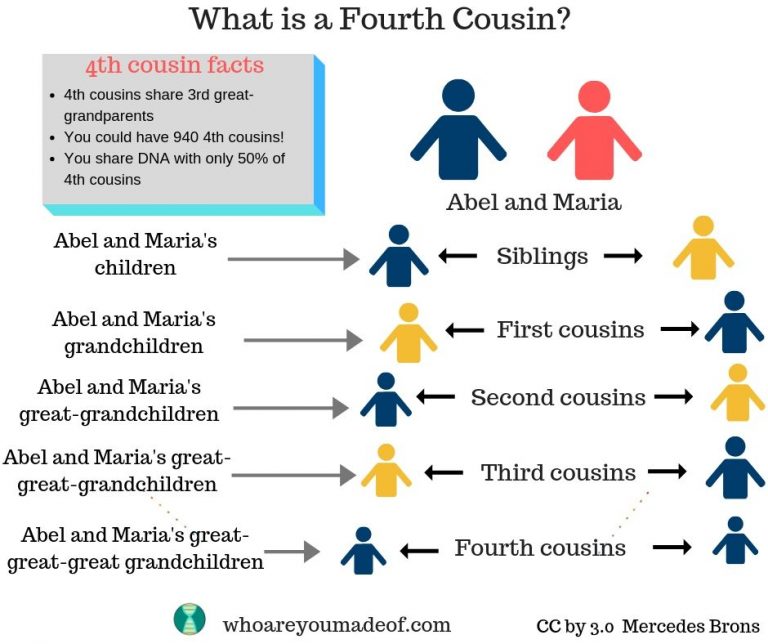 What is a Fourth Cousin? - Who are You Made Of?