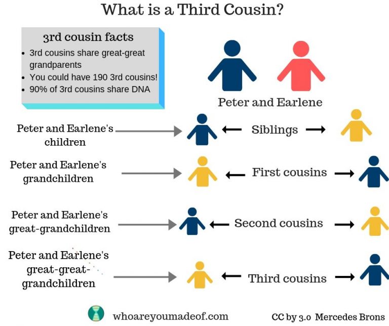 What is a Third Cousin? - Who are You Made Of?