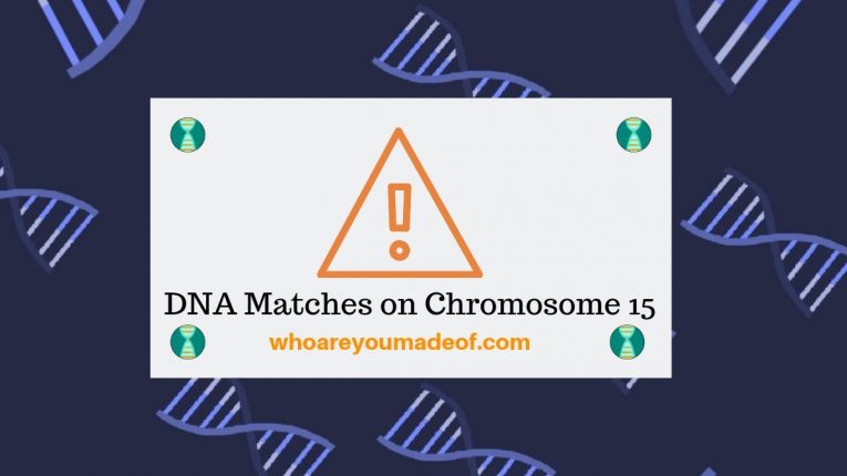 X DNA Matches on Gedmatch - Who are You Made Of?