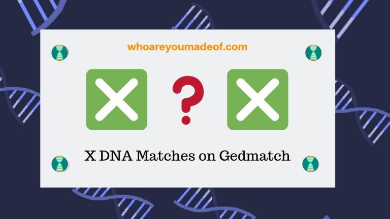 X DNA Matches on Gedmatch - Who are You Made Of?