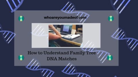 How to Understand Family Tree DNA Matches - Who are You Made Of?