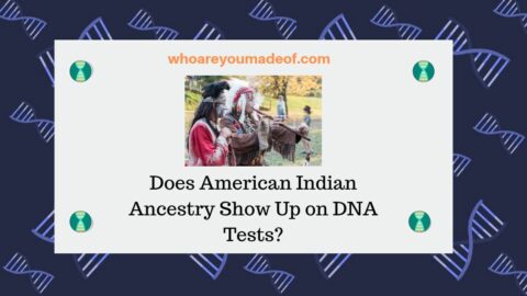 Does American Indian Ancestry Show Up on DNA Tests? - Who are You Made Of?