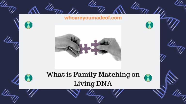 What is Family Matching on Living DNA - Who are You Made Of?