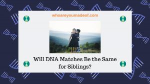 Will DNA Matches Be the Same for Siblings? - Who are You Made Of?