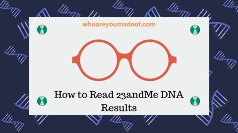 How to Read 23andMe DNA Results - Who are You Made Of?