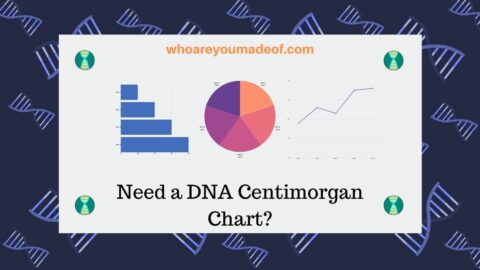 Need a DNA Centimorgan Chart? - Who are You Made Of?