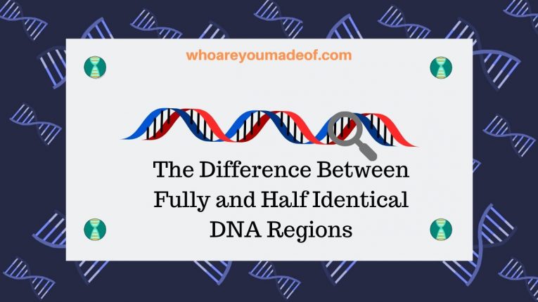 The Difference Between Fully and Half Identical DNA Regions - Who are ...